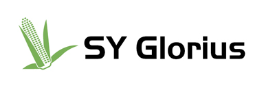 SY Glorius - Variety Kukuřice | Syngenta
