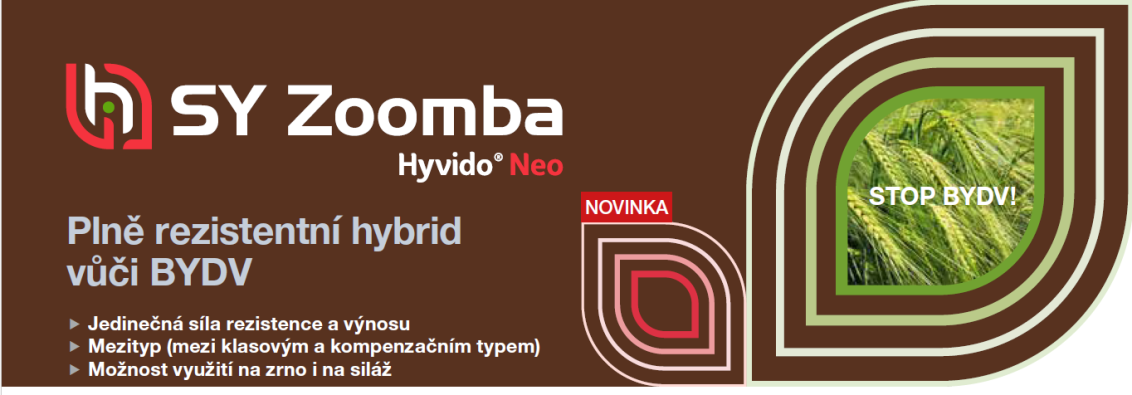 SY Zoomba - Variety Ječmen ozimý | Syngenta